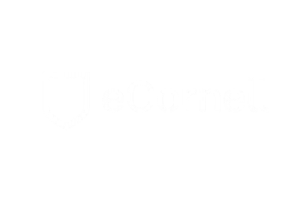 Software Developer Training Upskilling Developer Lxp Codio