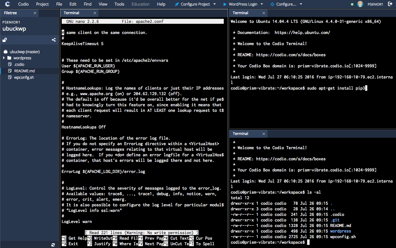 Teaching students to get under the hood using Codio