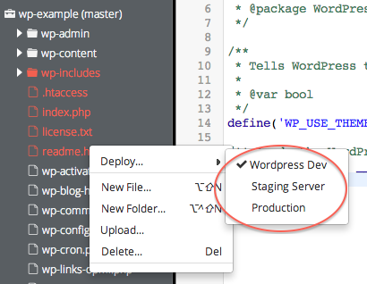 Selective File Deployment