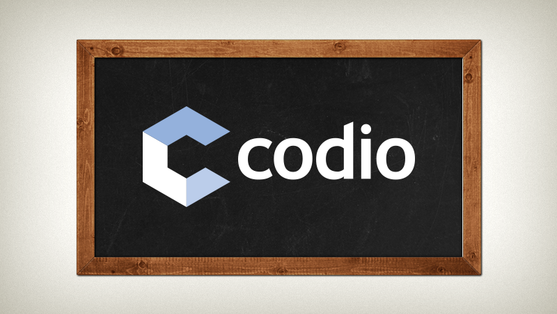 Codio signals Education sector focus